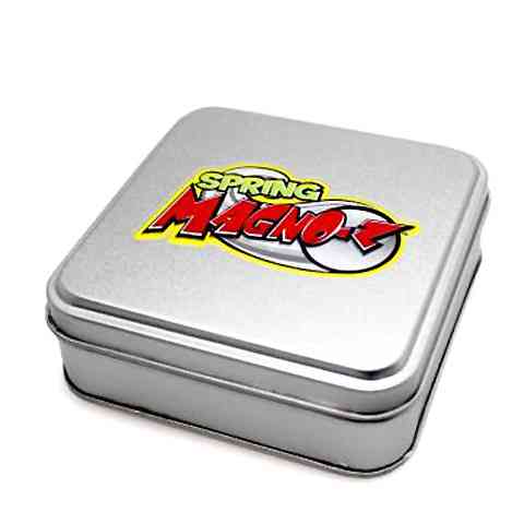 Spring Magno-Z - 2 figure u metalnoj kutiji kupovina IgračkeShop